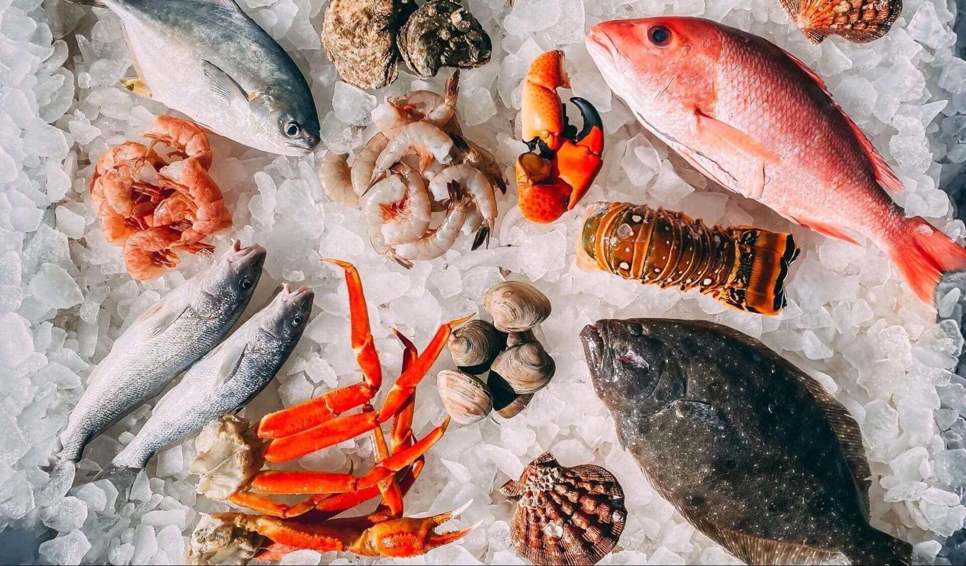 Seafood Transport During Summer: Top Tips | Scully RSV | BLOG